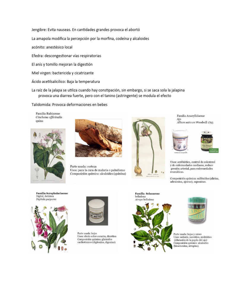 Plantas Medicinales Pdf