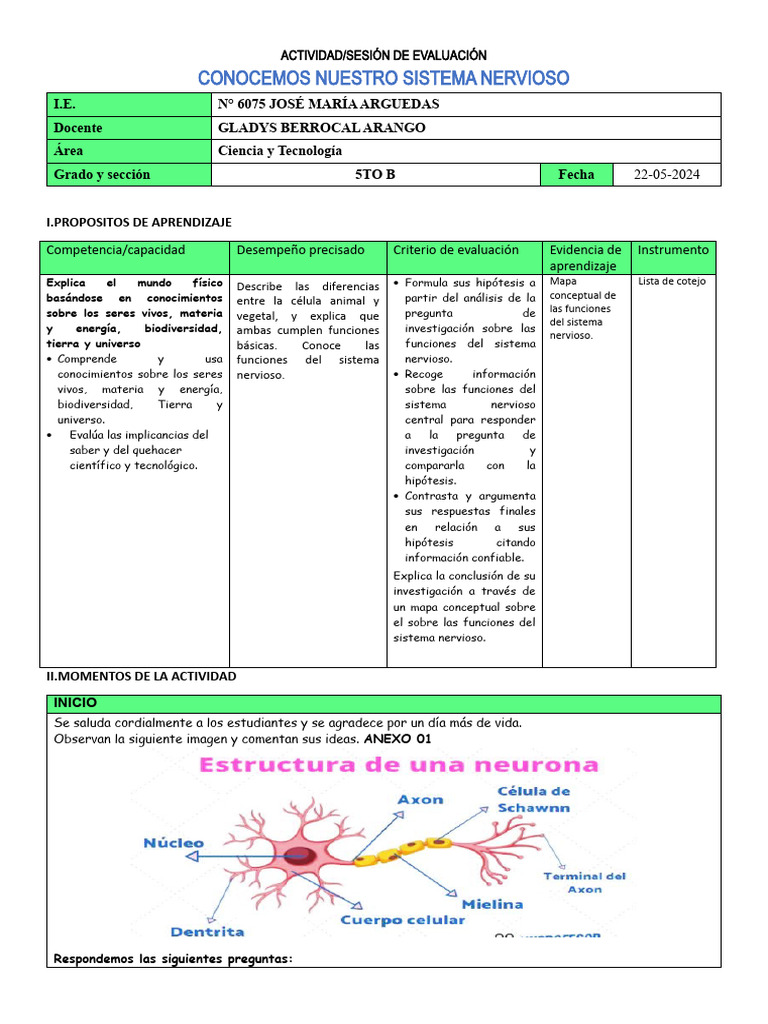 Cyt - Sist Nervioso - Sem2 | PDF | Neurona | Axon Cyt - Sist Nervioso - Sem2 | PDF | Neurona | Axon