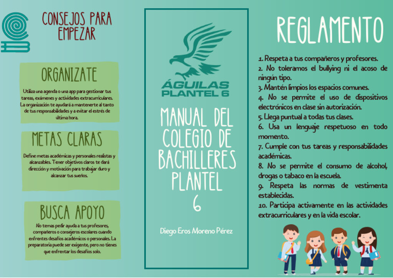 Manual Del Bachi | PDF