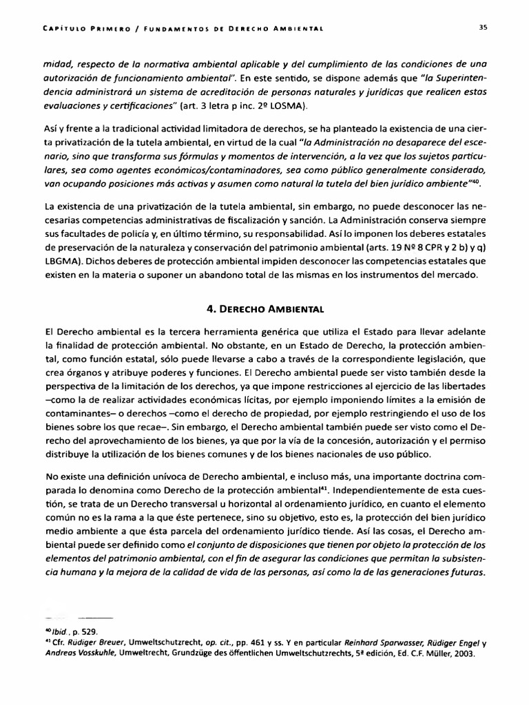 Berm Dez Jorge. Fundamentos Del Derecho Ambiental PP 35 46 | PDF | Ley del Medio Ambiente ...