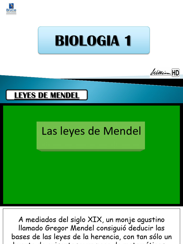 Leyes de Mendel | PDF | Genética | Biología