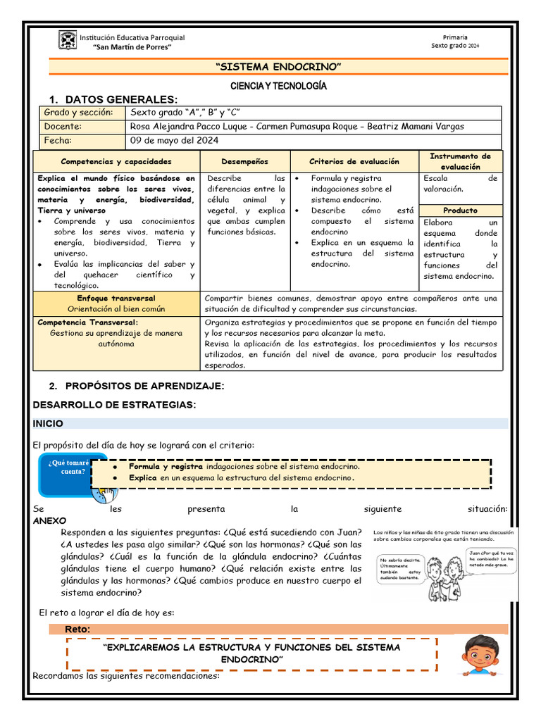 Sesión Cyt. 09-05-2024 Sistema Endocrino | PDF | Evaluación | Aprendizaje