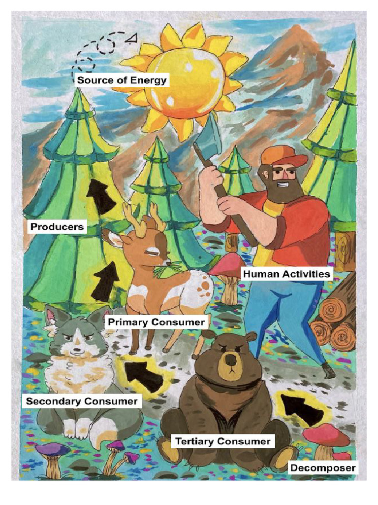 Taiga Biome: Energy Flow and Adaptations | PDF | Ecosystem | Trees
