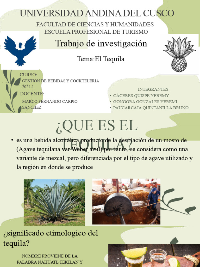 TEQUILA | PDF | Bebidas alcohólicas | Bebidas Fermentadas