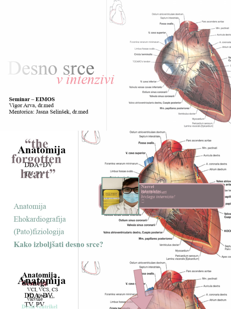 Desno Srce | PDF