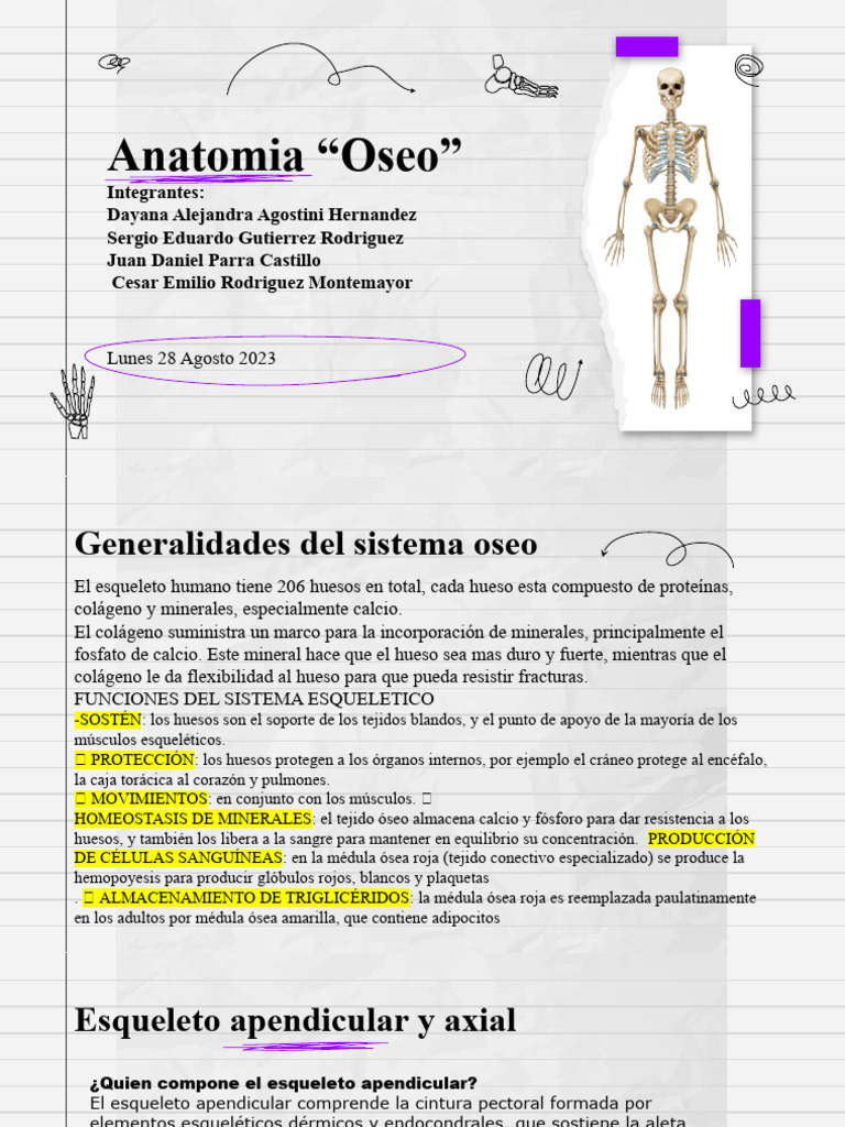 PresentaciónOseo EV2 | PDF | Articulación | Esqueleto