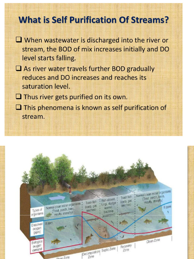 Sewage and Effluent Discharge Standards | PDF | Sewage | Effluent
