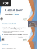 Orthodontic Labial Bows Guide | PDF | Mouth | Dentistry Branches