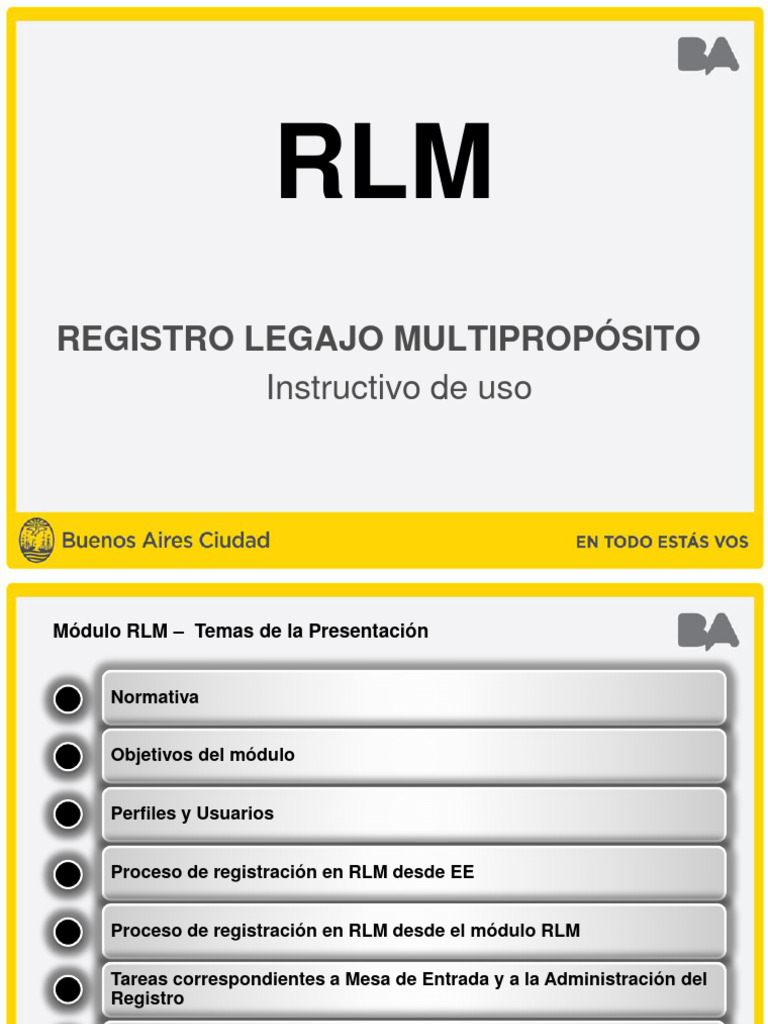 RLM - Instructivo de Uso - 08032016 | PDF