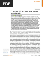 DLP in Classification of Salad According To Meal Function and ...