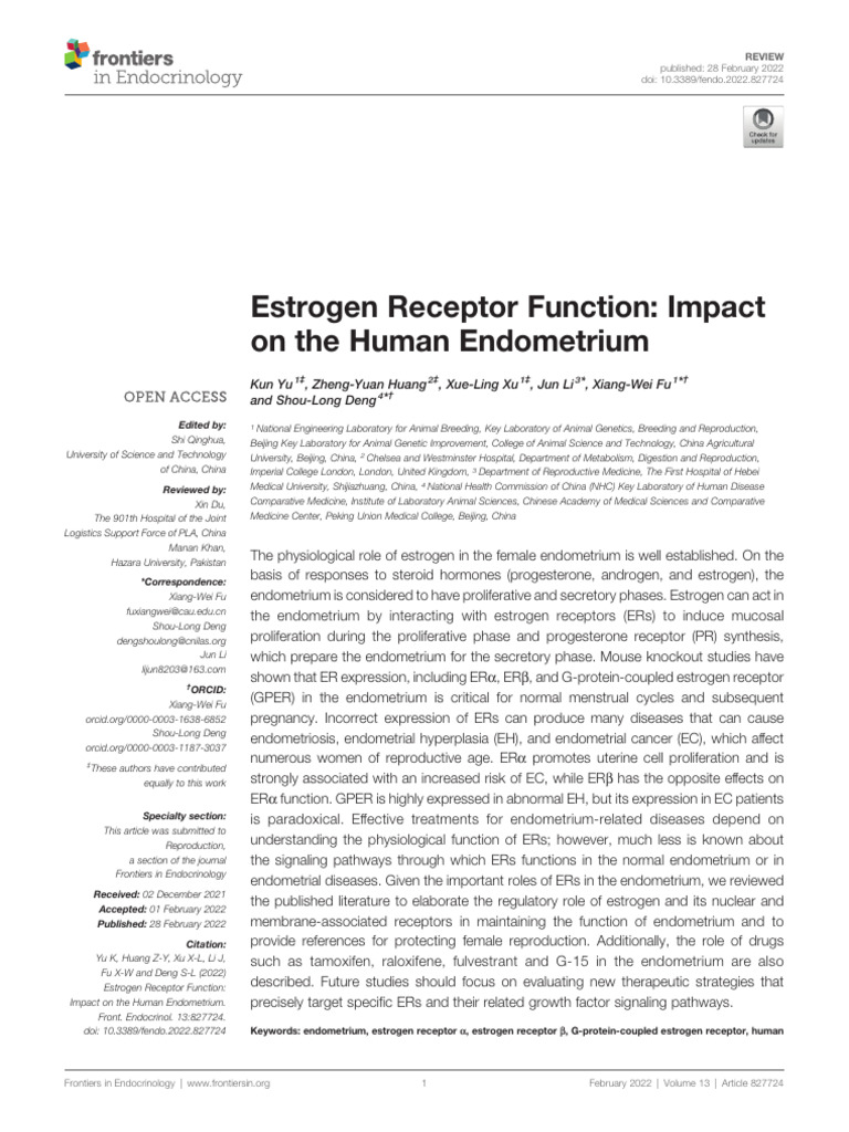 Estrogen Receptor Function - Impact On The Human Endometrium | PDF ...
