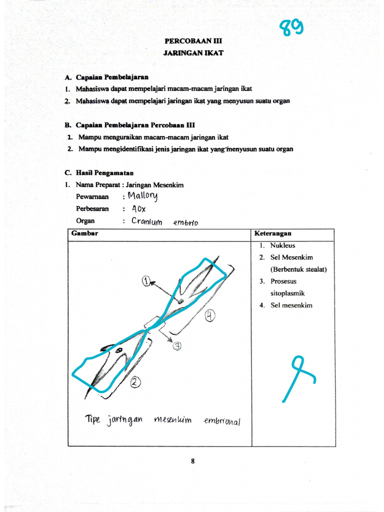 Lhp Heh Acara 3 4 Diah Ayu Lestari 1900008018 Pdf