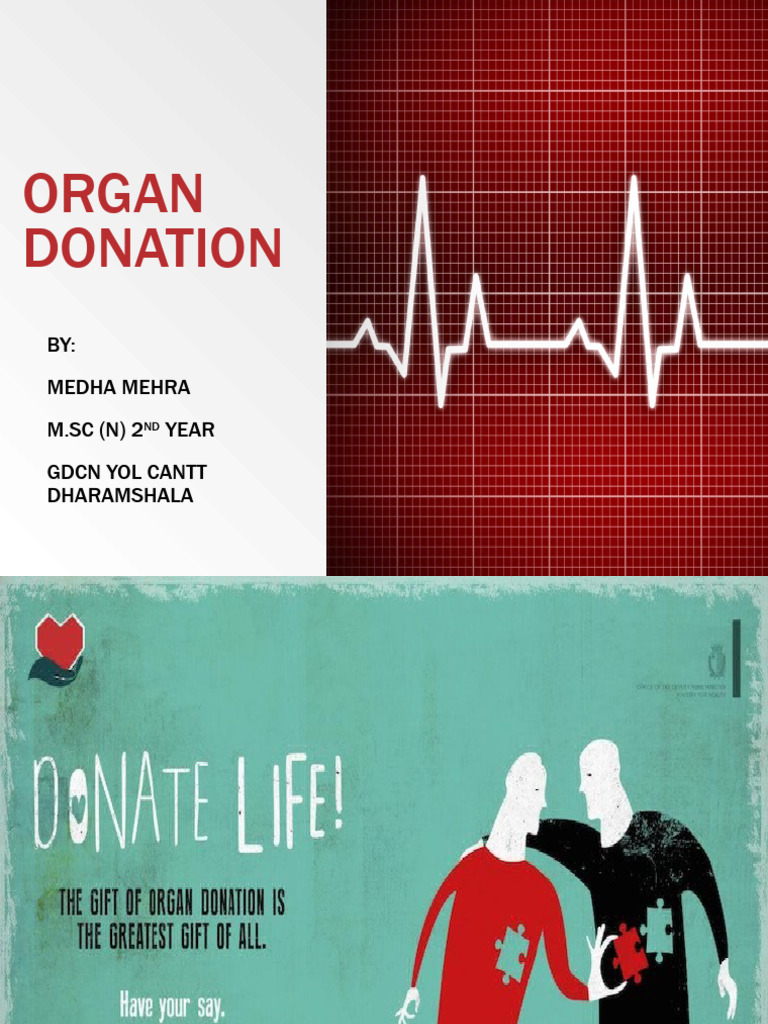Organ Donation Cai - 022604 | PDF | Organ Transplantation | Organ Donation