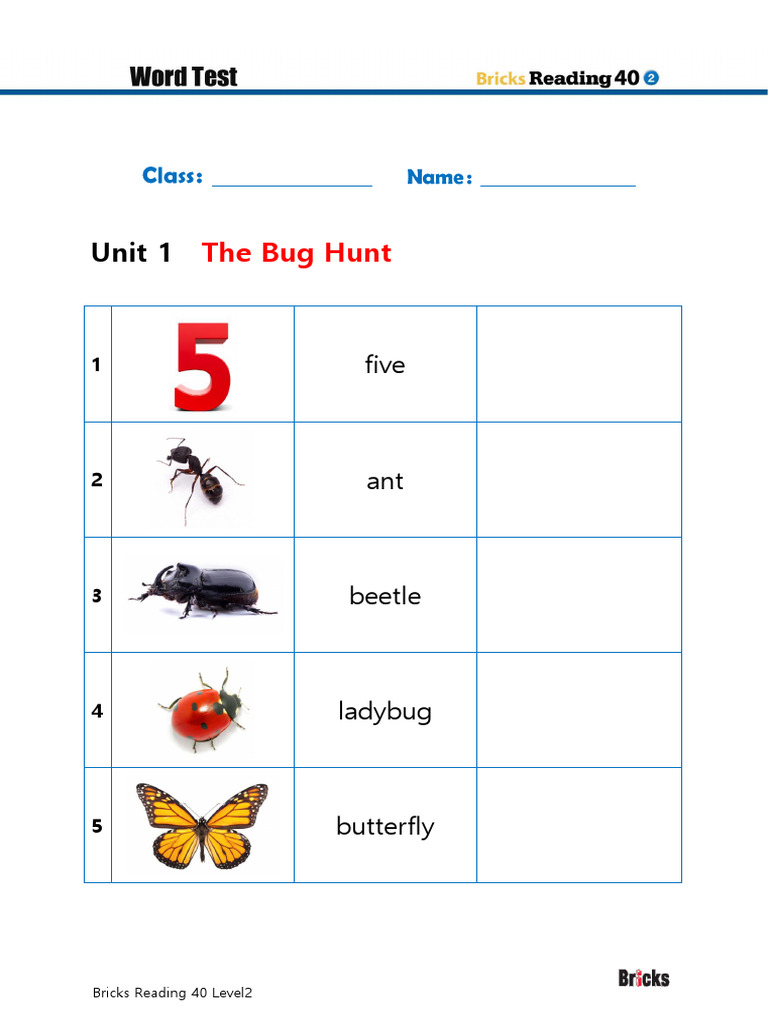 Bricks Reading 40 Level 2 Units | PDF