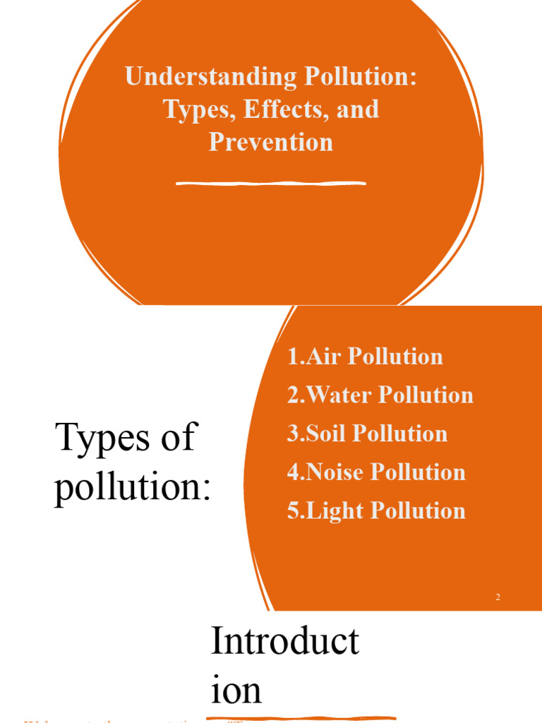 Understanding Pollution by PHANI KRISHNA 11J | Download Free PDF ...
