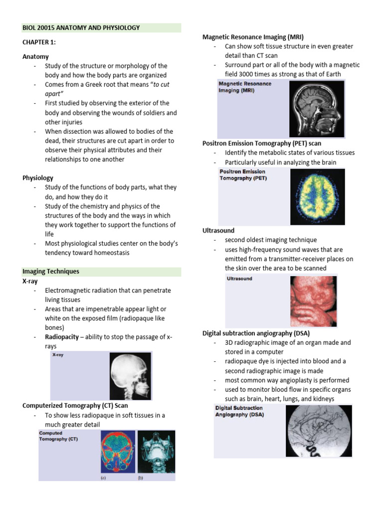 Anaphy Reviewer | PDF | Human Body | Anatomical Terms Of Location