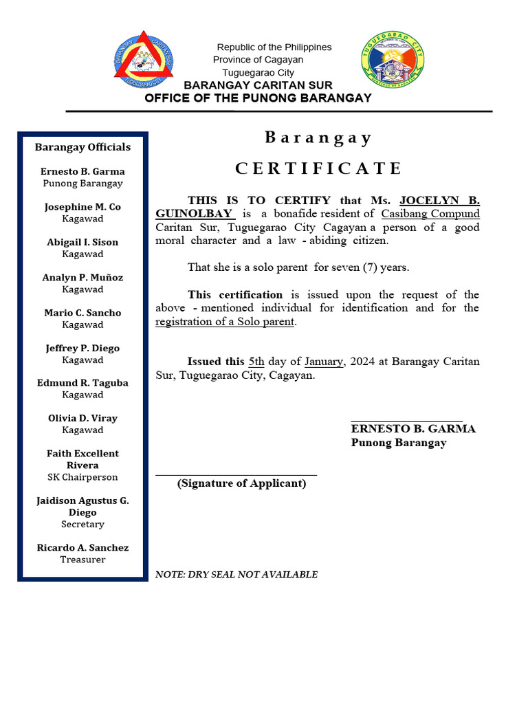 Brgy. Certificate - Solo Parent | PDF