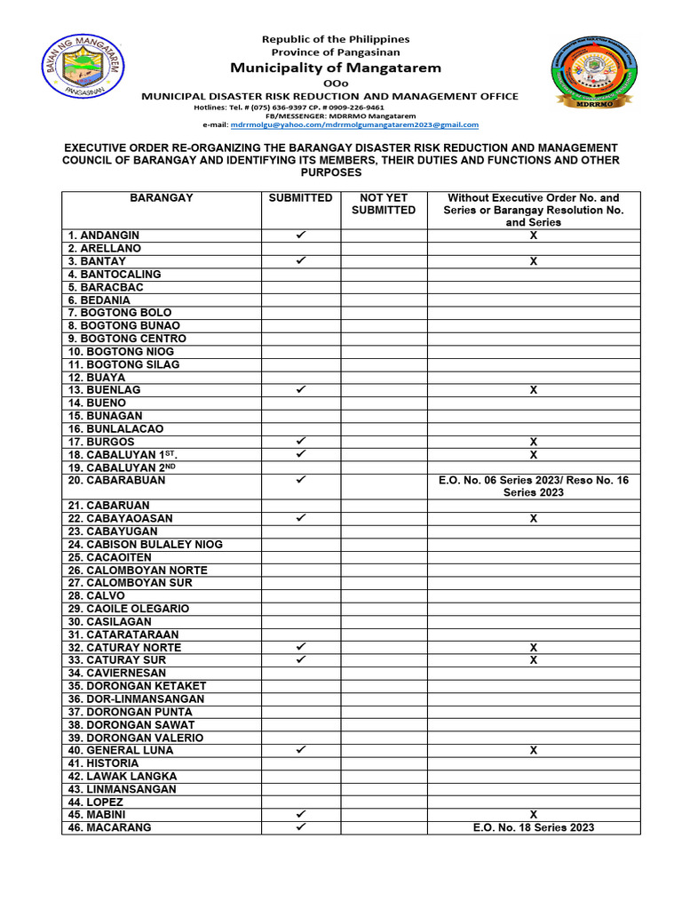 Reorganizing BDRRMC Eo Reso | PDF