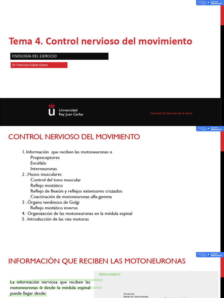Tema-4 Control Nervioso Del Movimiento-2 | PDF | Músculo | Neurona