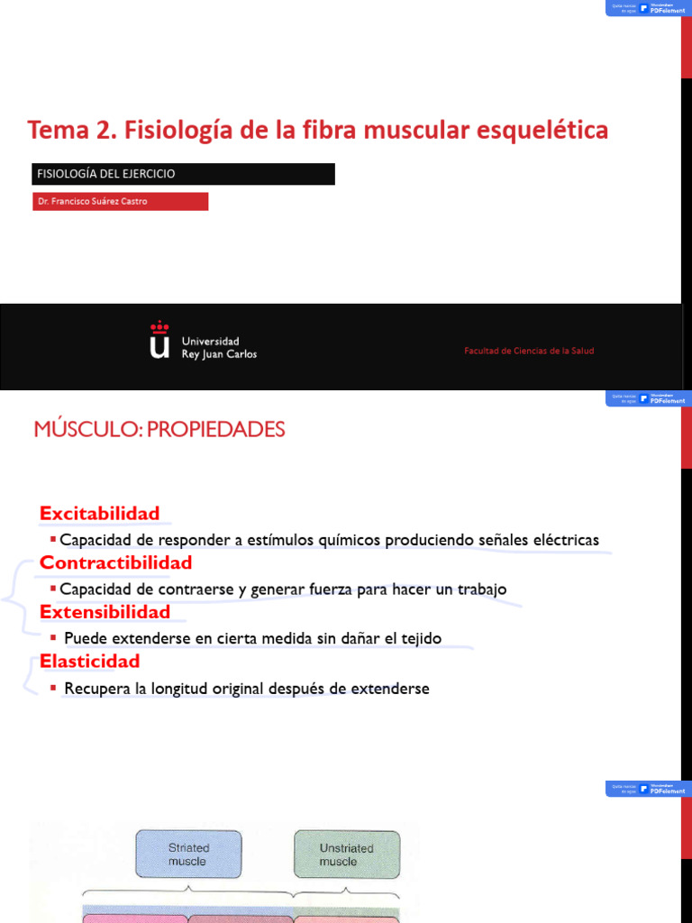 Tema 2 FisiologÃ A de La Fibra Muscular Esquelã©tica - 3.0 | PDF | Músculo | Contracción muscular