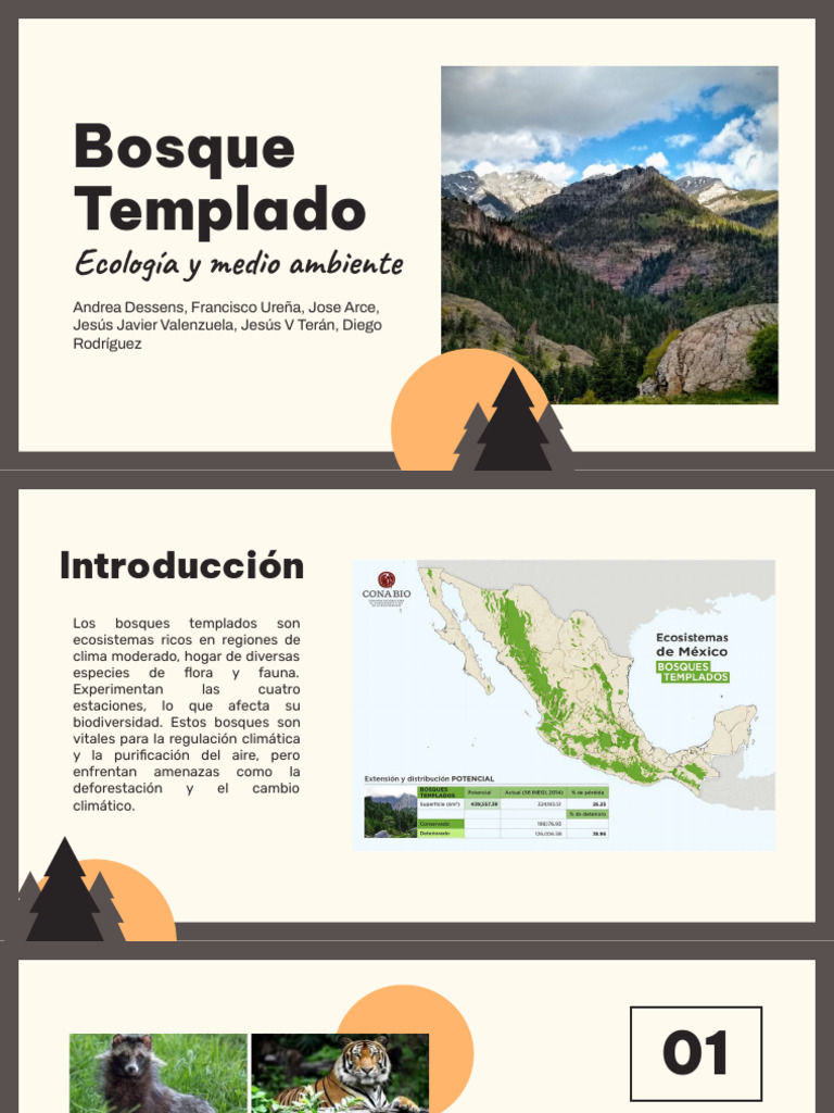 Ecología del Bosque Templado | PDF | Los bosques | Aves