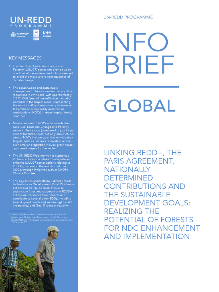 NDC Final | PDF | Climate Change Mitigation | United Nations Framework Convention On Climate Change