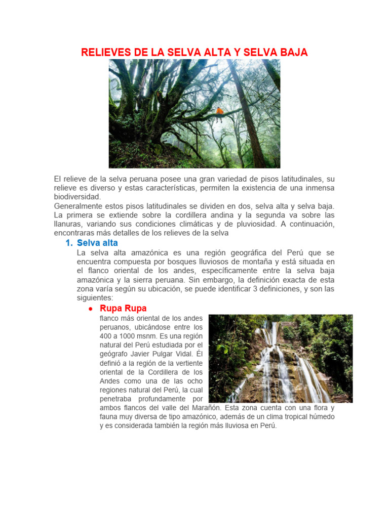 Relieves de la Selva Alta y Baja | PDF | Geografía Física | Ciencias de ...