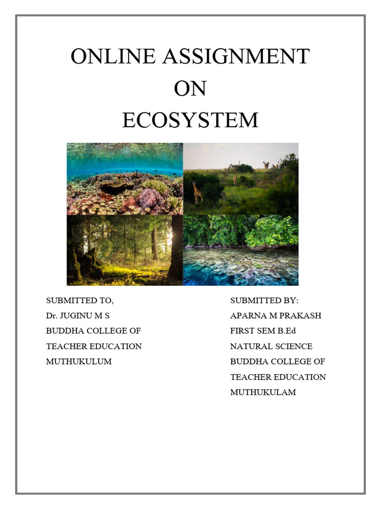 Online Assignment | PDF | Ecosystem | Forests