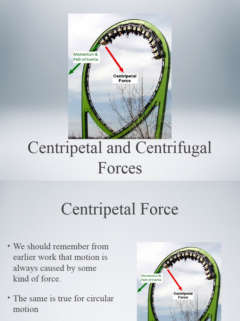 Centripetal and Centrifugal Forces | PDF
