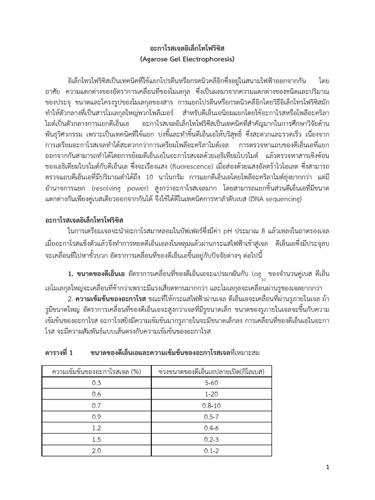 Agarose gel electrophoresis | PDF