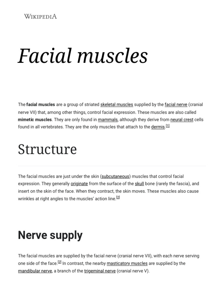 Facial Muscles - Wikipedia | PDF | Lip | Human Anatomy