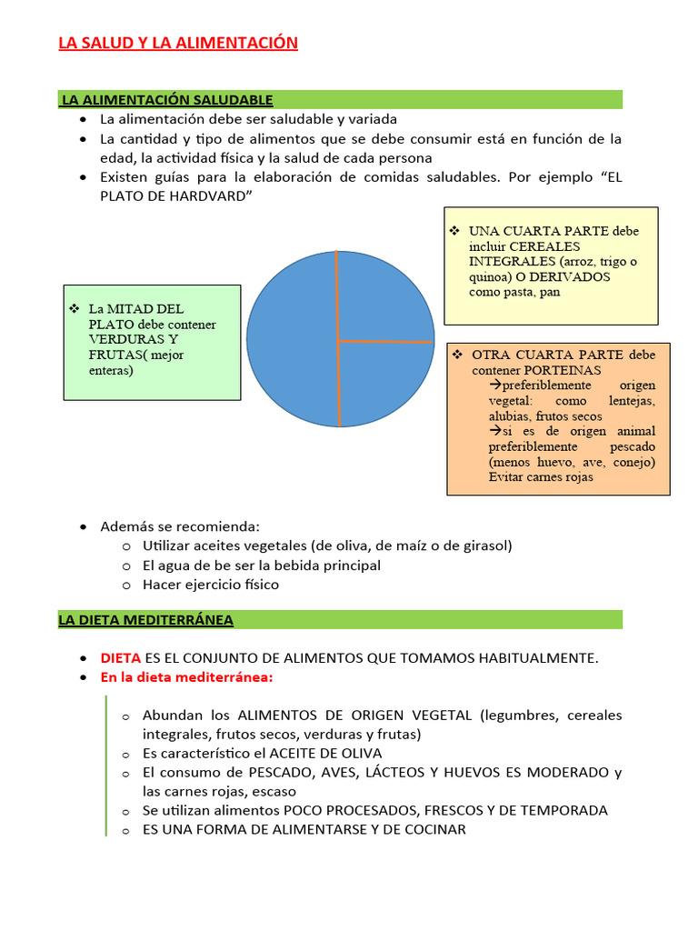 La Salud y La Alimentación | PDF | Salud y bienestar