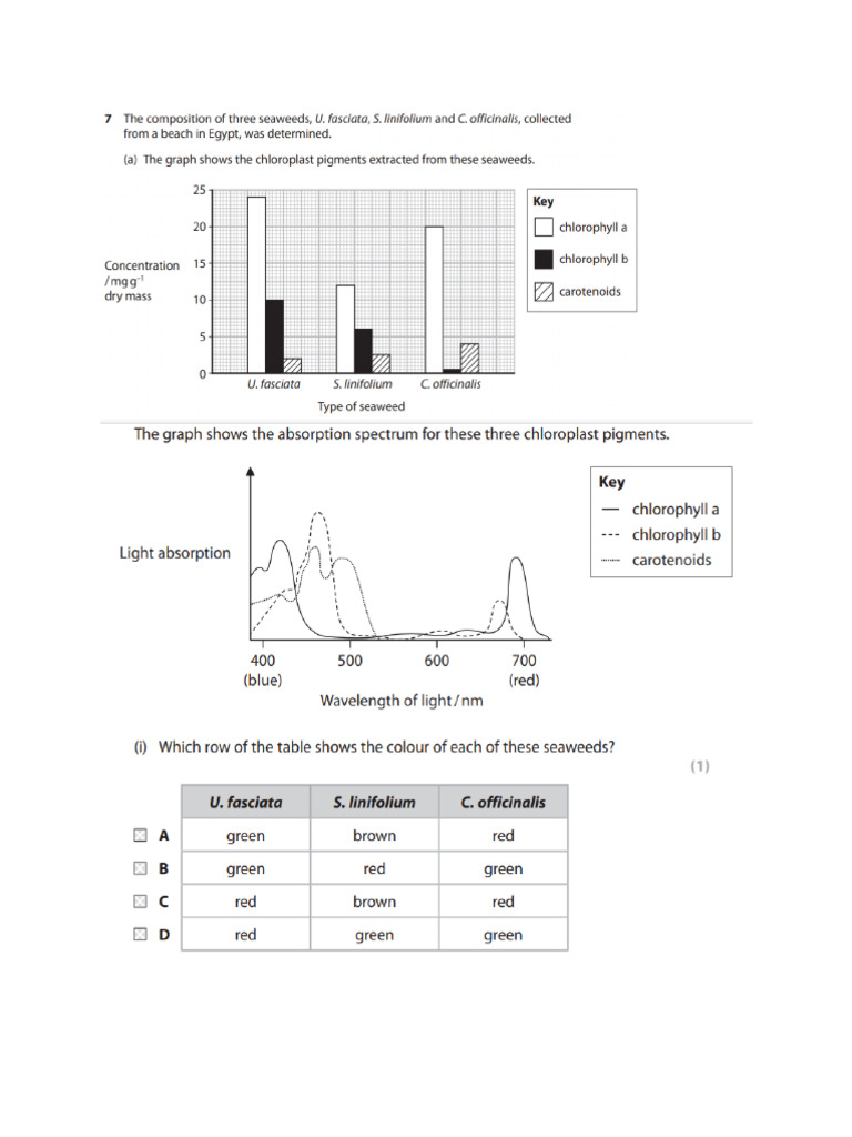 Absorption Spectrum QP and Ms | PDF