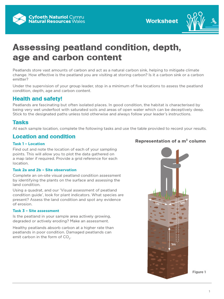 Worksheet Assessing Peatland Condition Depth Age and Carbon Content ...