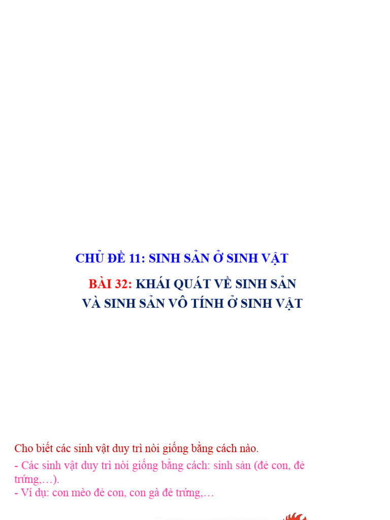 CD Bai 32 Khai Quat Ve Sinh San Va Sinh San Vo Tinh o Sinh Vat | PDF