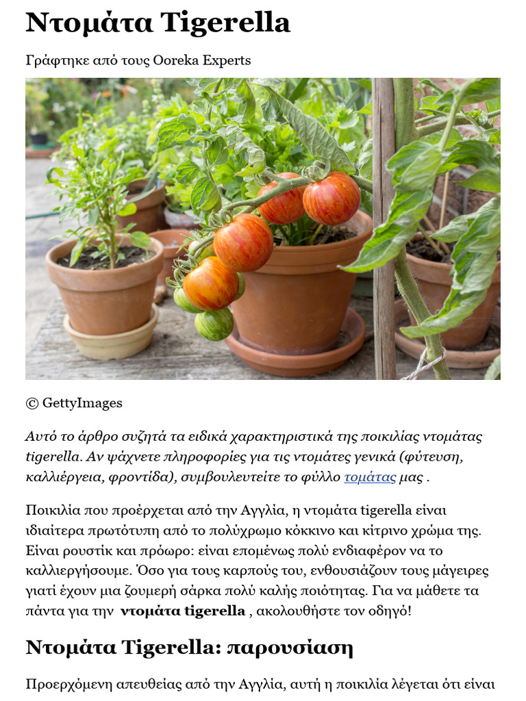 Ντομάτα Tigerella | PDF