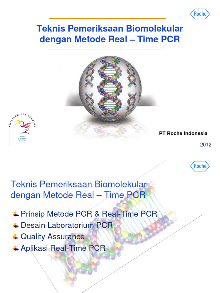Prinsip Dasar Metode Real-Time PCR | PDF