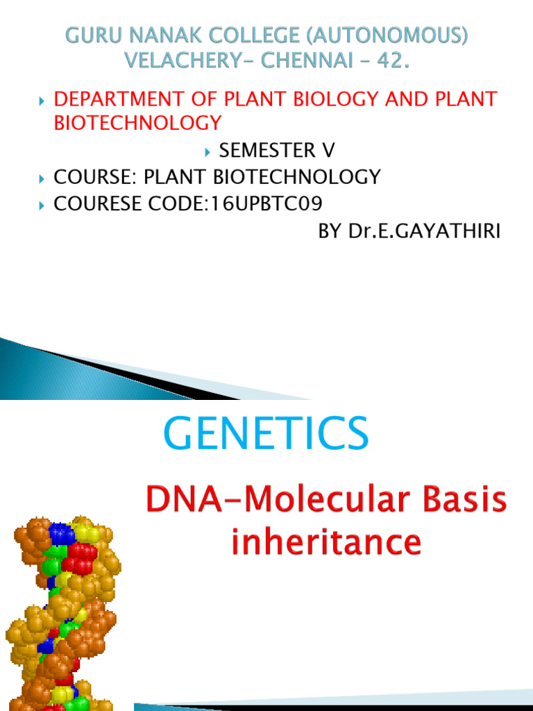 DNA Molecular Basis Inheritance | PDF | Rna | Translation (Biology)