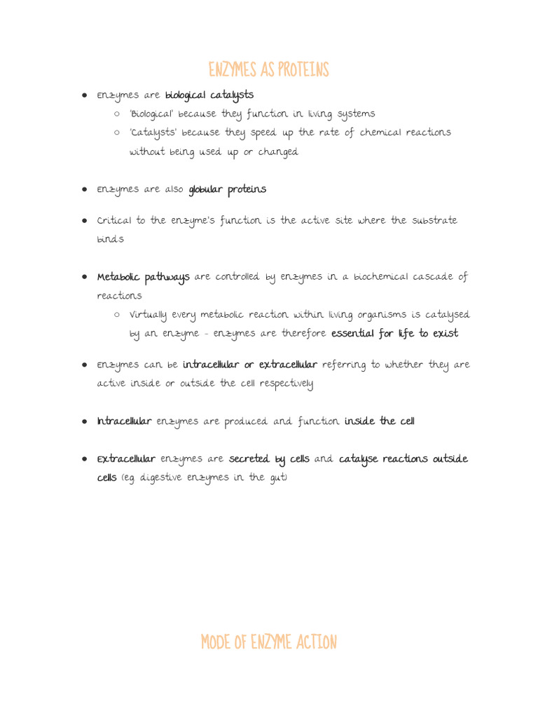 Chapter 3 - Enzymes - Notes-4 | PDF | Enzyme | Enzyme Inhibitor