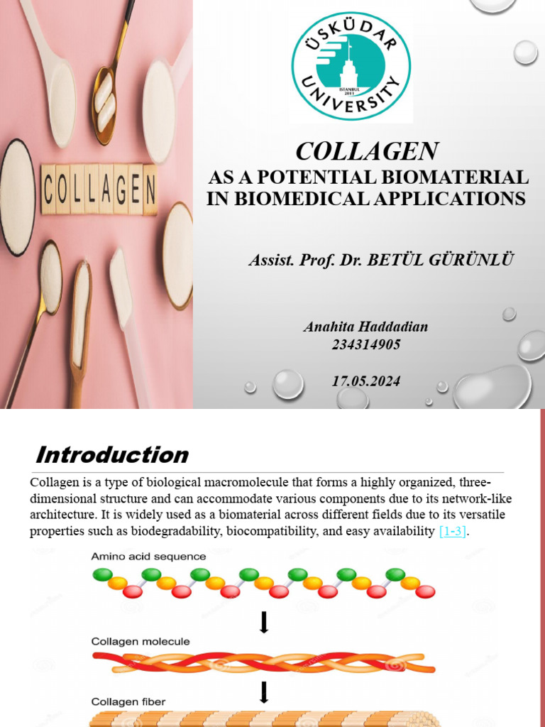 Collagen As A Potential Biomaterial in Biomedical Applications | PDF | Tissue Engineering | Collagen