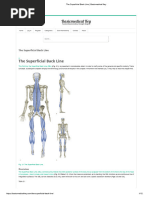 Lumbar Special Tests Guide | PDF | Anatomical Terms Of Motion | Vertebra