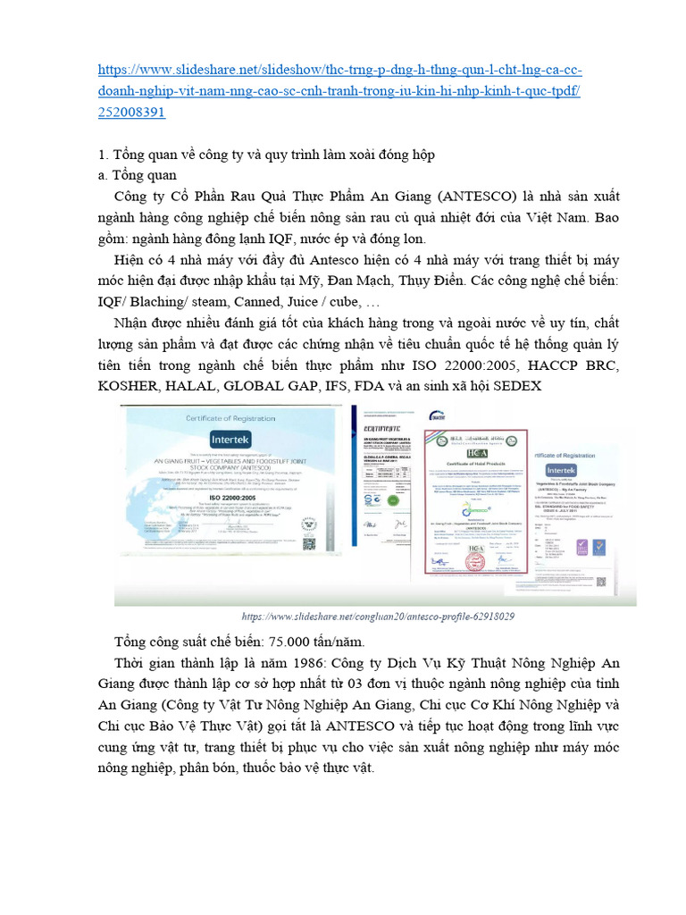 T NG Quan Và Quy Trình | PDF