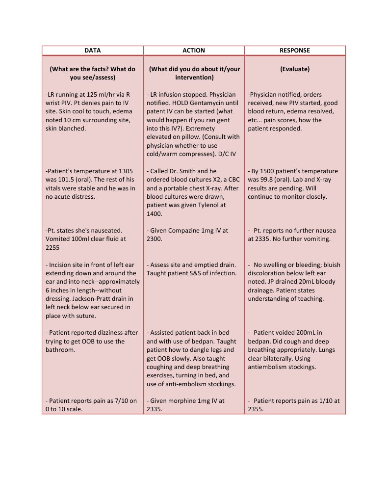 Focus Charting (DAR) | PDF