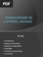 Anatomie des reins et leur vascularisation | PDF | Rein | Foie