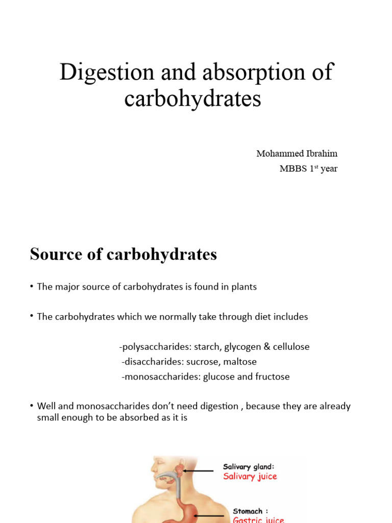Carbohydrate Digestion Guide | PDF | Digestion | Carbohydrates