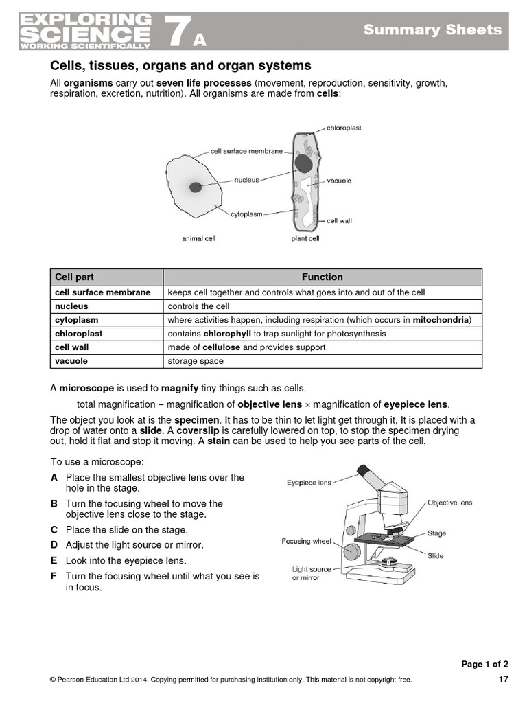 Cells, Tissues, Organs and Organ Systems: Summary Sheets | PDF | Human ...
