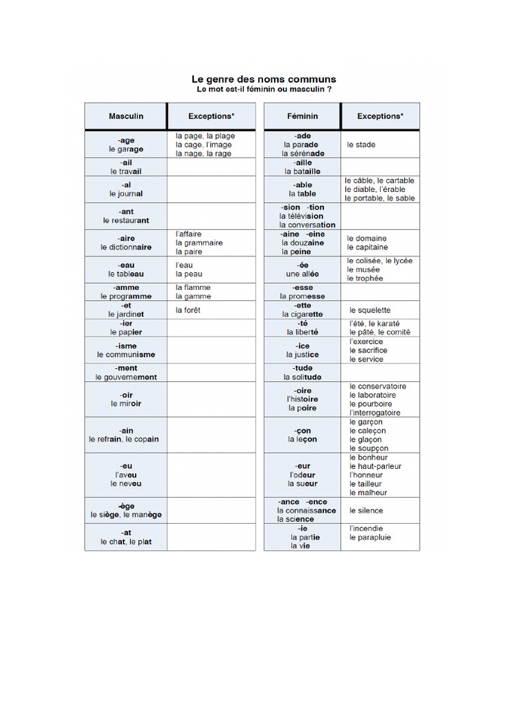 Les Mots Masculins Et Feminins | PDF