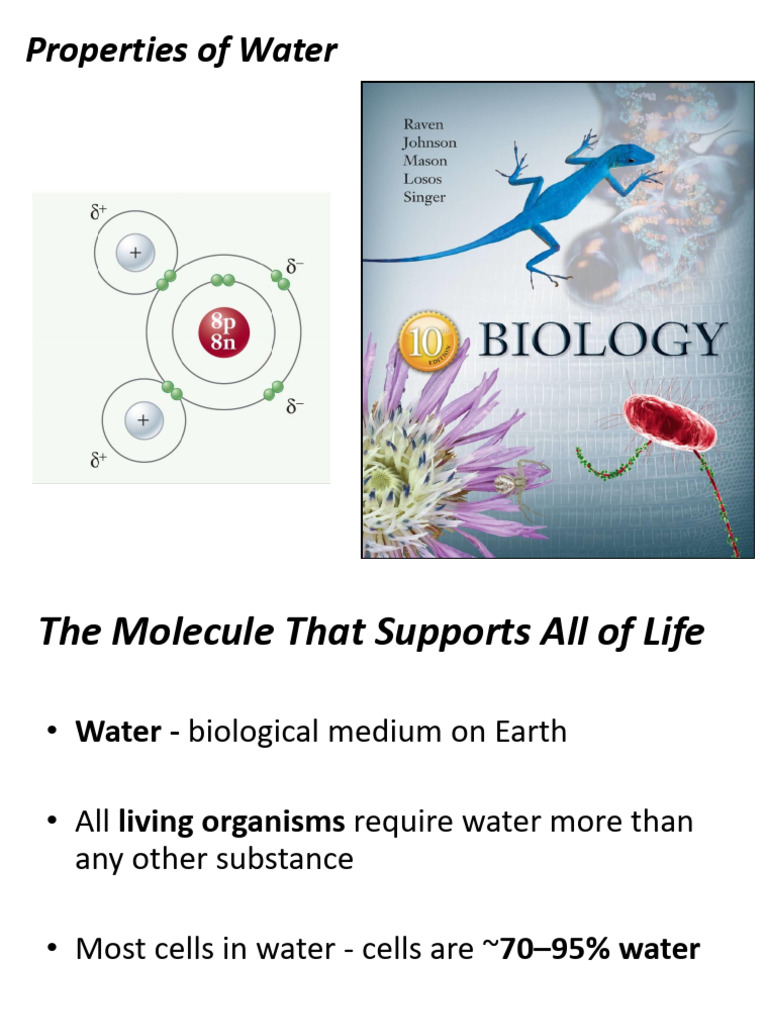 2024 PropertiesWater NOTES | PDF | Water | Acid