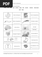 Cambridge School Grade 3 Science Paper 3RD Worksheet | PDF | Metrology ...