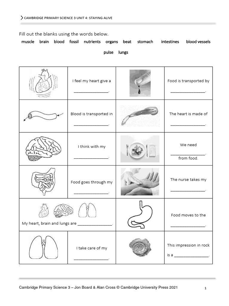 Fill Out The Blanks Using The Words Below.: Cambridge Primary Science 3 ...